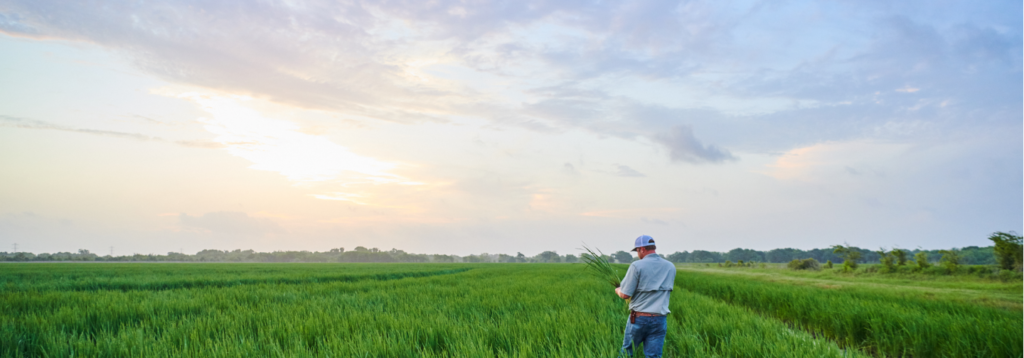 America's Leading Rice Company | Riviana Foods