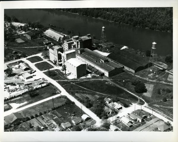 The History of Riviana Foods | Riviana Foods