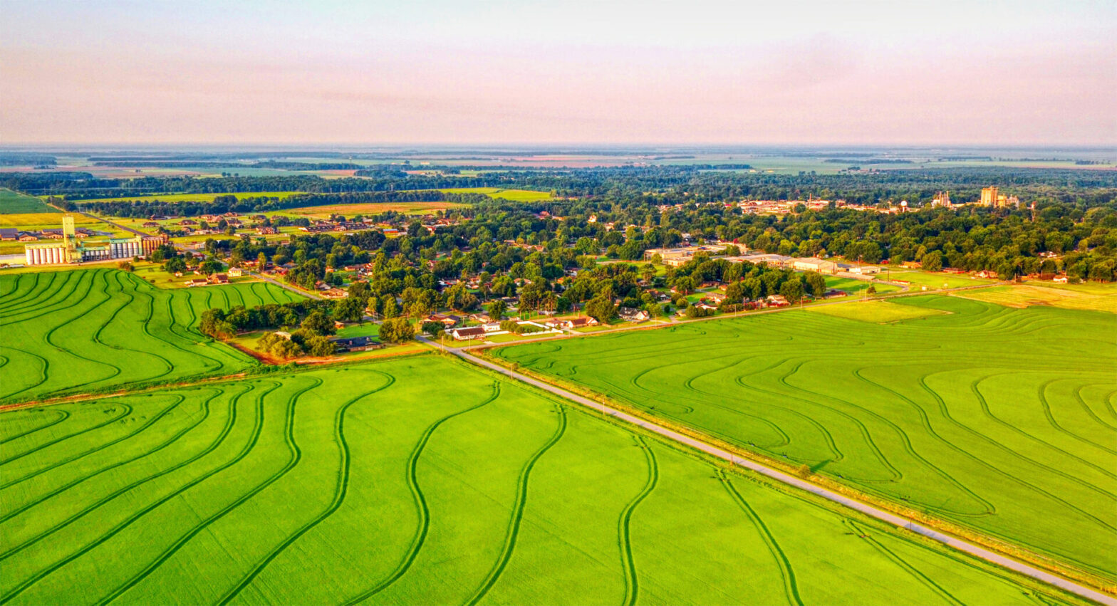 Research & Development News | Riviana Foods